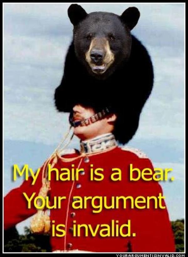  Image 216073 Your Argument Is Invalid Know Your Meme