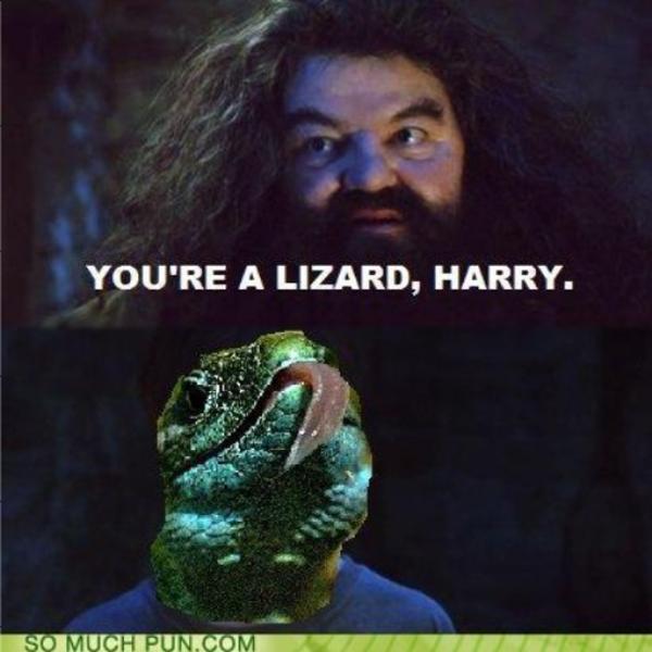  Image 224209 You re A Wizard Harry Know Your Meme