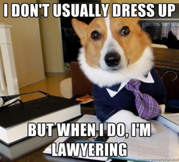 Most Interesting Dog Lawyer Dog Know Your Meme