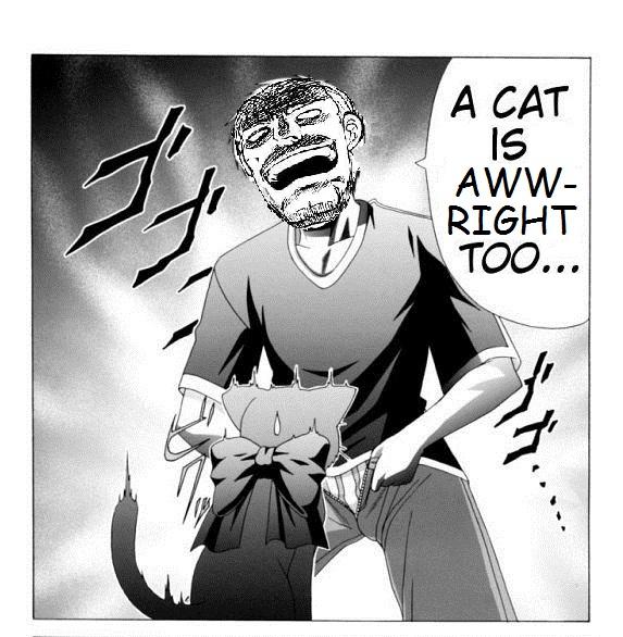 [image 378119] A Cat Is Fine Too Know Your Meme