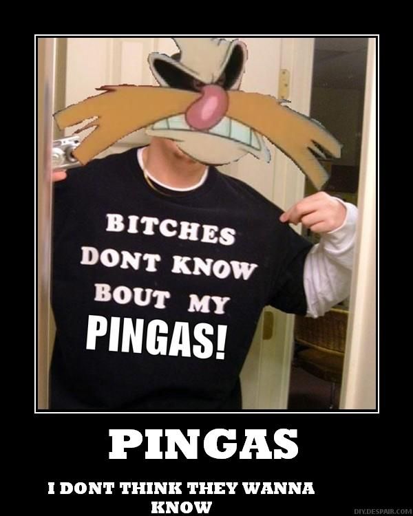 [image 16404] Pingas Know Your Meme