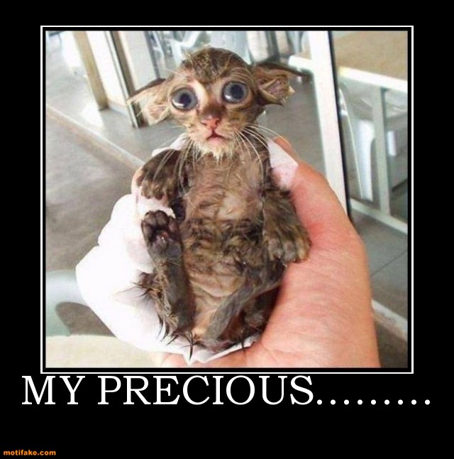 Image 239542 My Precious Know Your Meme image-239542-my-precious-know-your-meme