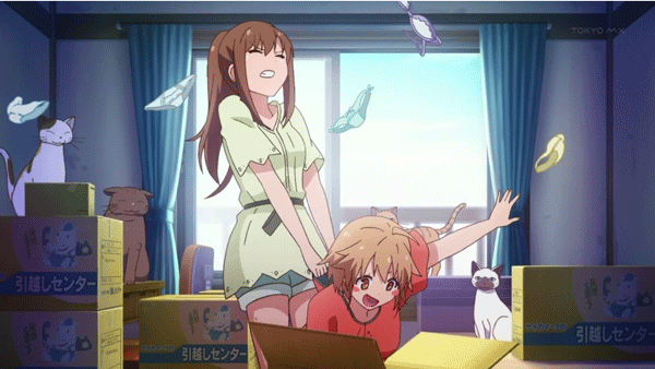 All The Pantsu Pantsu Know Your Meme