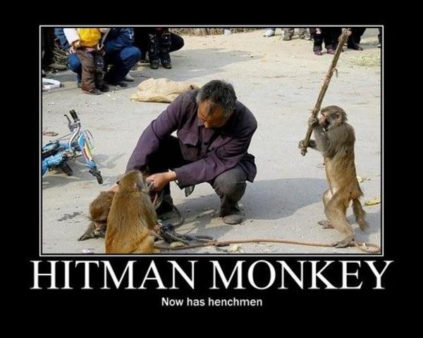 [Image - 27899] | Hitman Monkey | Know Your Meme