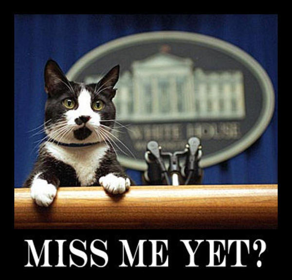 [Image - 70256] | Miss Me Yet? | Know Your Meme