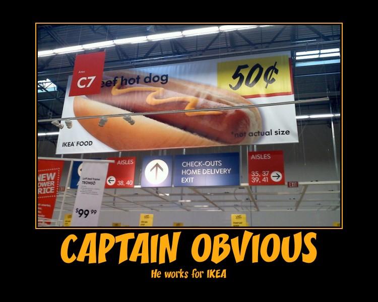 [Image - 167588] | Captain Obvious | Know Your Meme