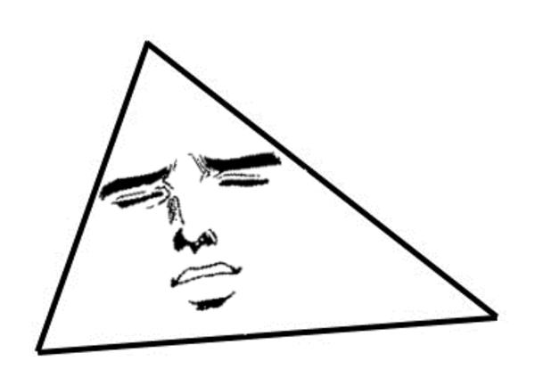 [Image - 404025] | Ah, The Scalene Triangle | Know Your Meme