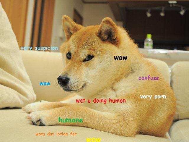 [Image - 684728] | Doge | Know Your Meme