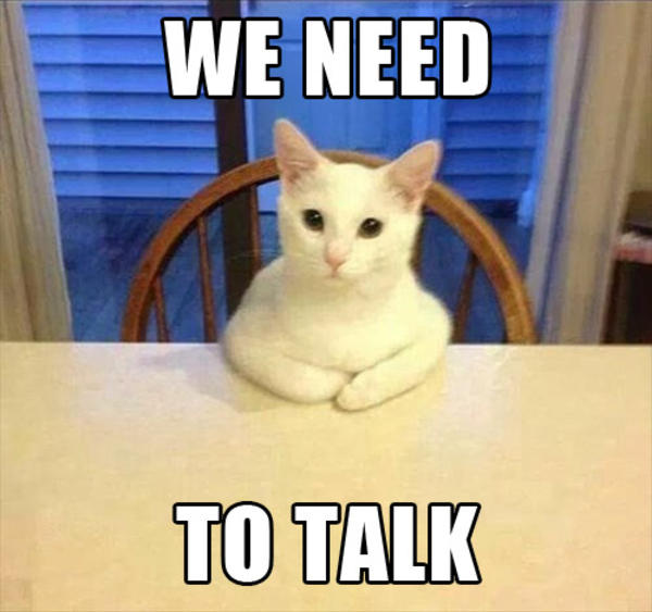 Kitty needs to have a chat... | Cats | Know Your Meme