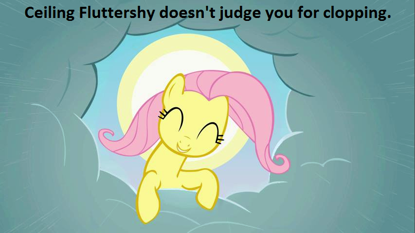 Ceiling Fluttershy | Wingboner & Clopping | Know Your Meme