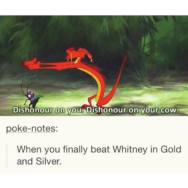 Pokemon Whitney Memes