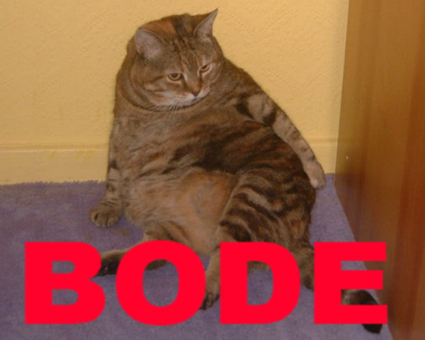 BODE | BODE | Know Your Meme