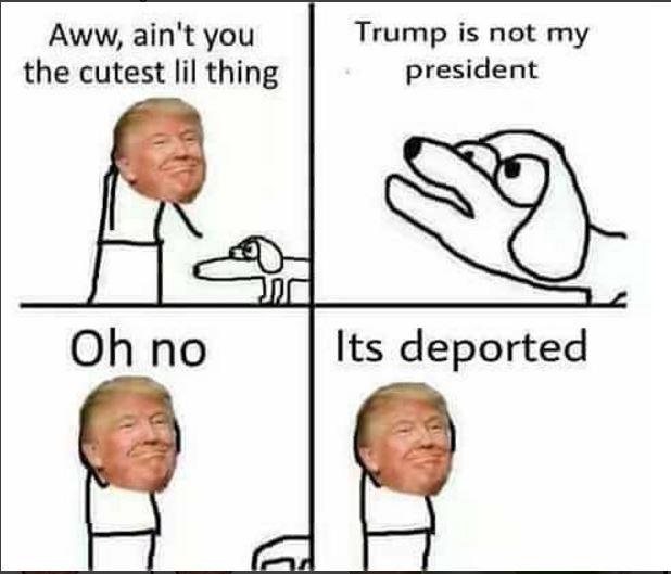 It's deported | Oh No, It's Retarded | Know Your Meme