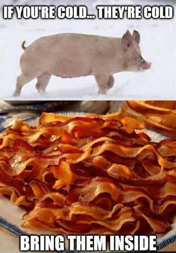 If You're Cold They're Cold. Bring Them Inside | If You're Cold, They ...