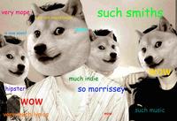 Smile.doge | Doge | Know Your Meme