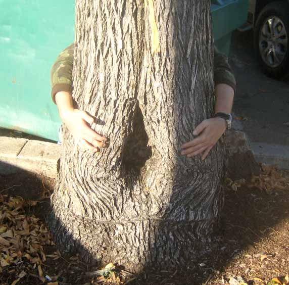 [Image - 6102] | Goatse | Know Your Meme