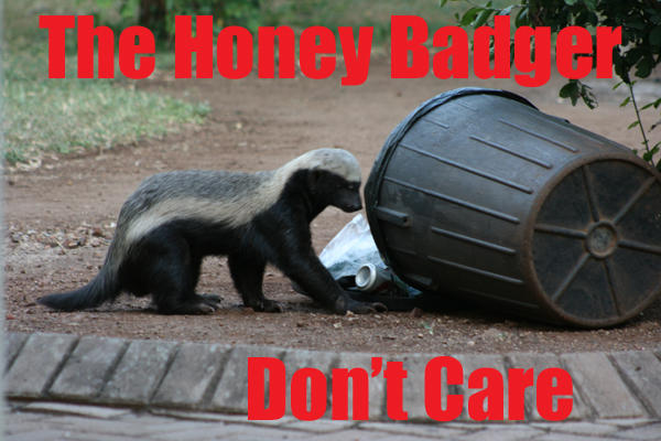 Honey Badgers Memes