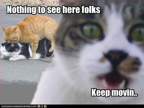 Nothing to see here folks | This doesn't concern you | Know Your Meme