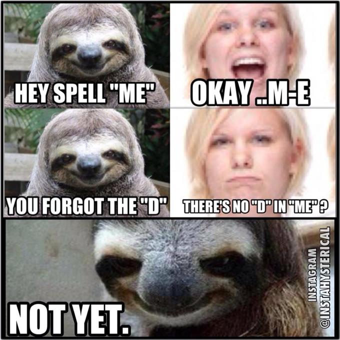 me! | Sloths | Know Your Meme