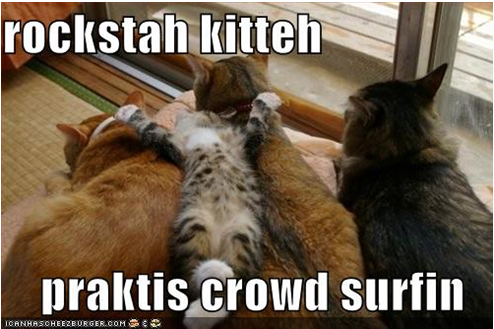 [Image - 10013] | LOLcats | Know Your Meme