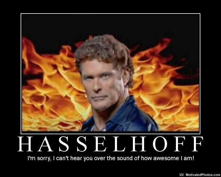 Hasselhoff Memes