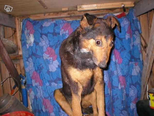 Ermagerd we're knives [x-post r/knives] : Pareidolia