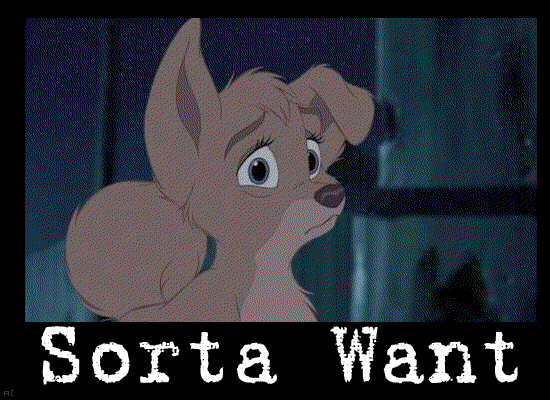 Official 24/365 is always a valid option > General Discussion > AR15.COM