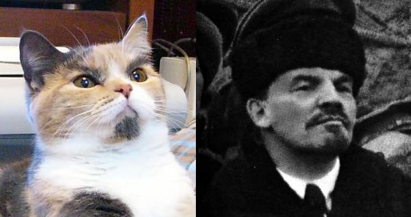 [Image - 111415] | Lenin Cat | Know Your Meme