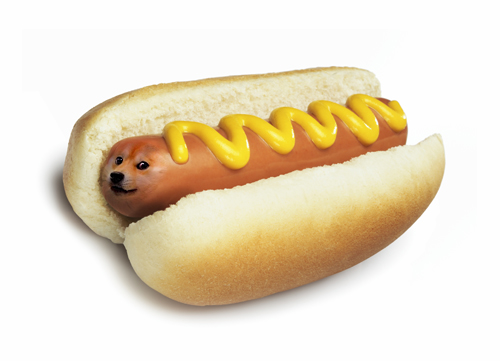 Hotdoge | Doge | Know Your Meme