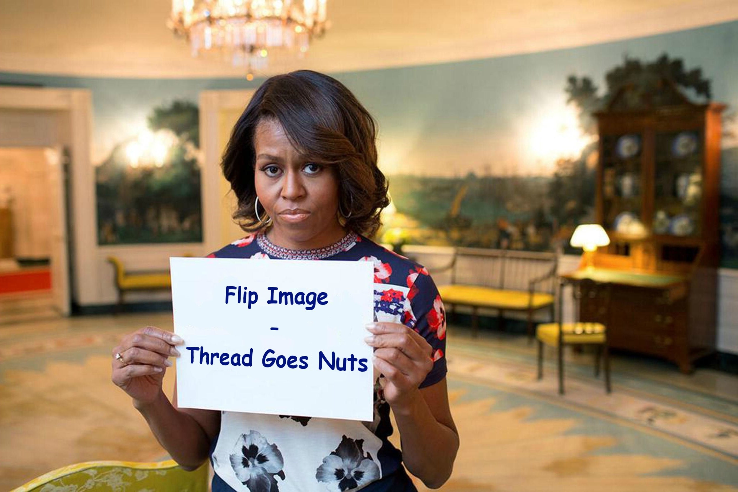 Michelle Obama Sign Memes