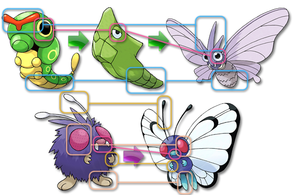 What's your favorite Pokémon theory? : r/pokemon