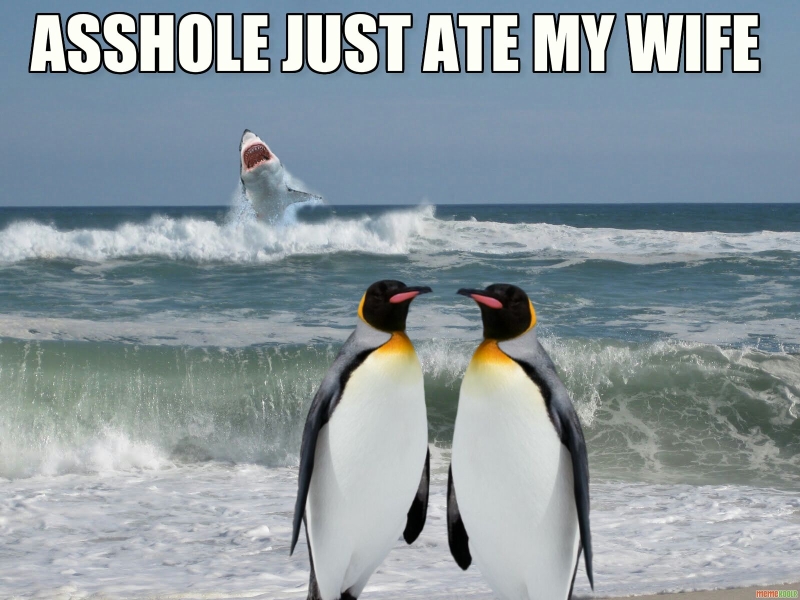 I hate when that happens | Penguins | Know Your Meme