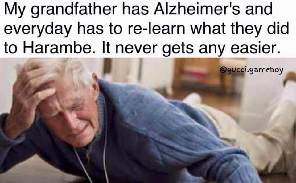 Grandfather has Alzheimer's and everyday has to re-learn what they did ...